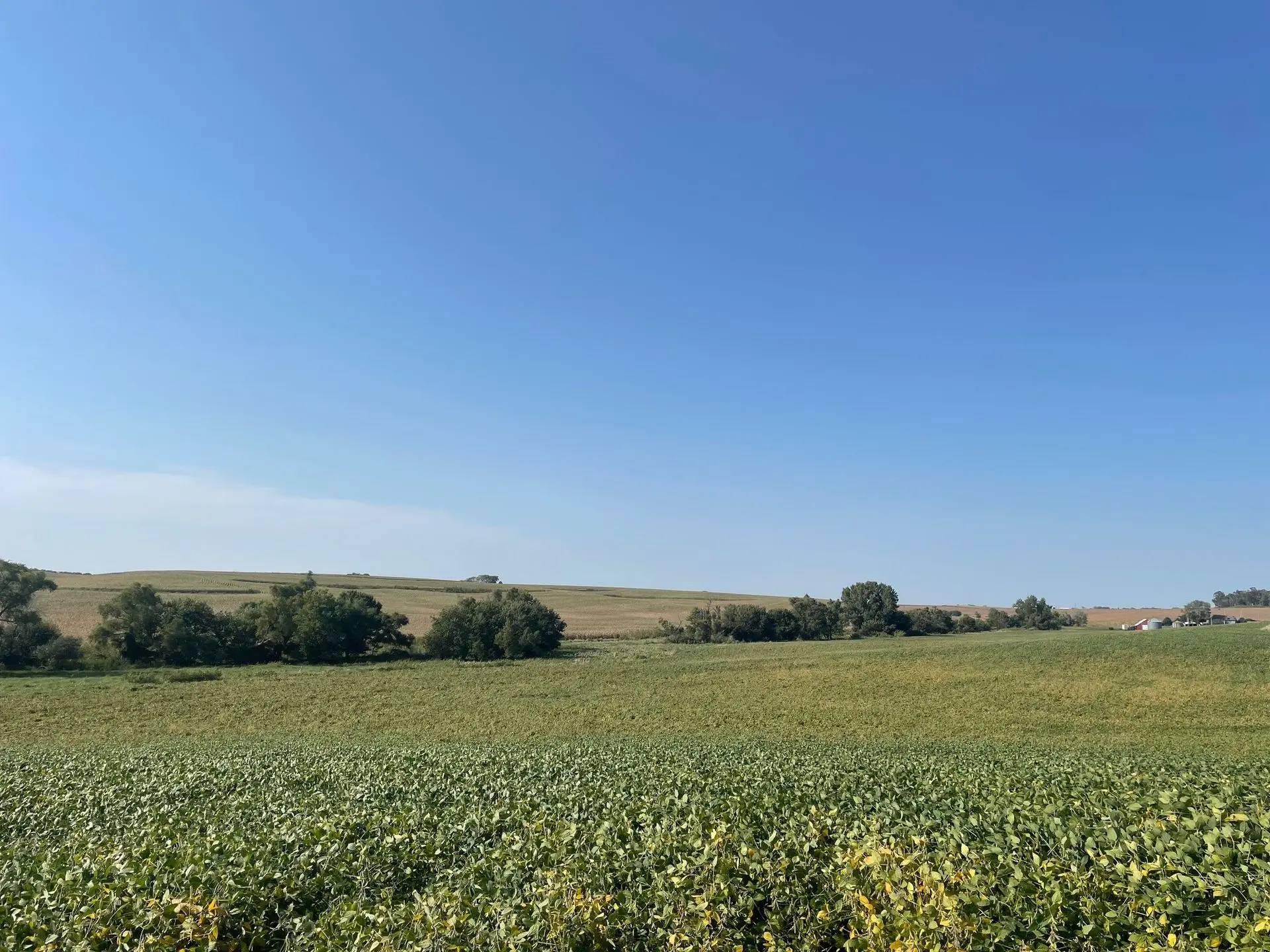 Using Ag Leader Technology to Reduce Input Costs for the 2026 Crop Year ...